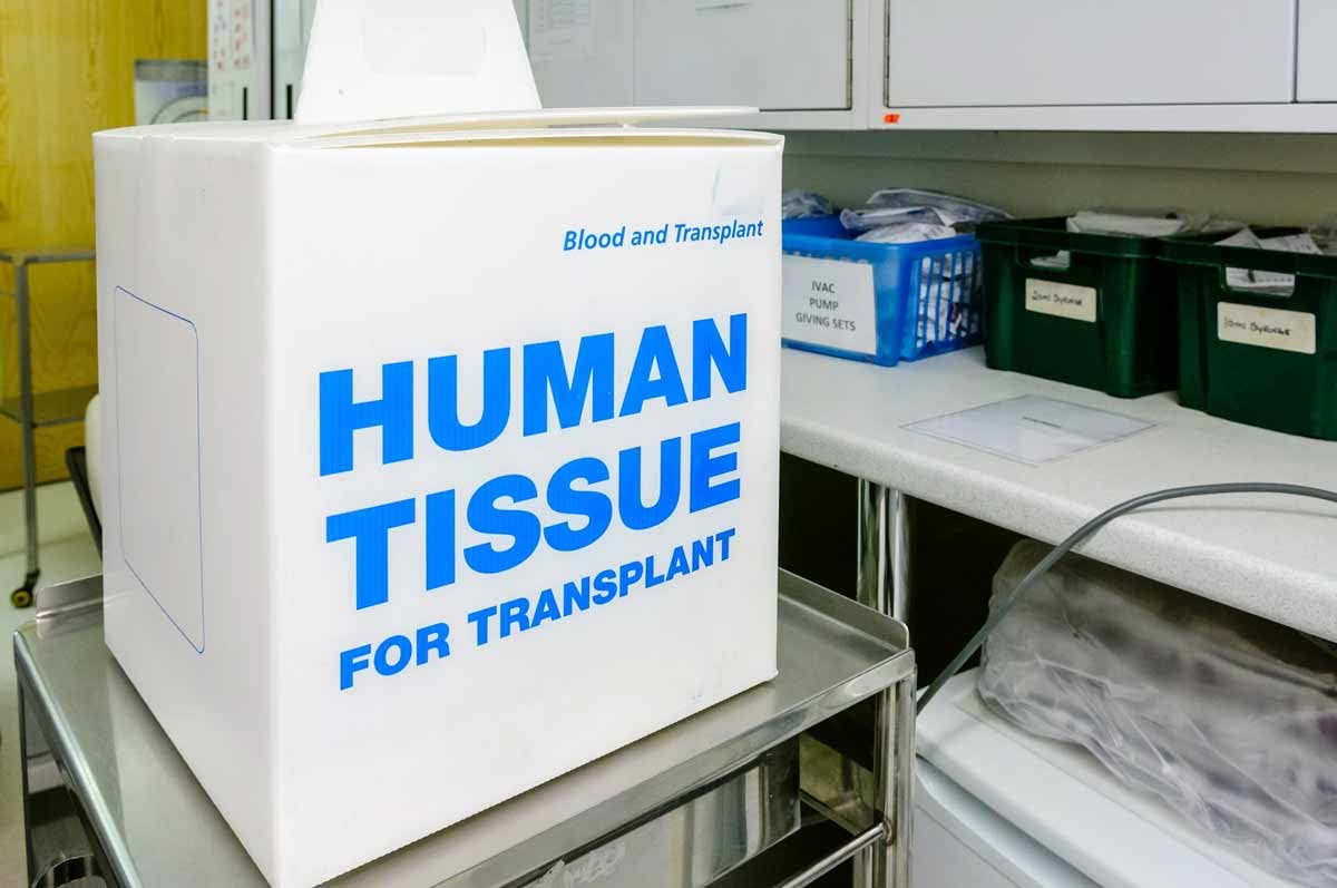 Organs, Blood & Tissue | Healthcare | American Expediting
